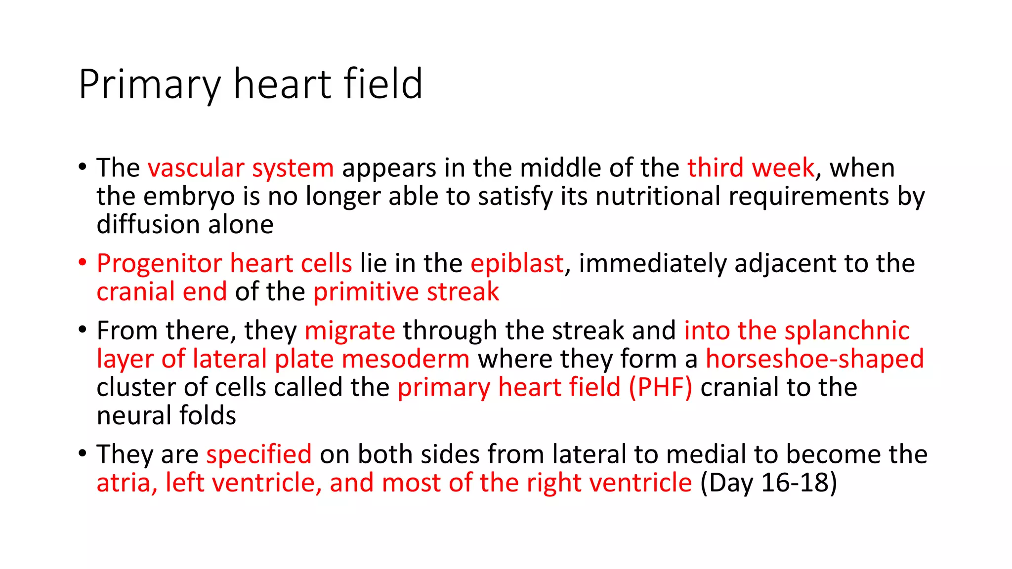 Cardiovascular System.pptx
