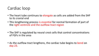 Cardiovascular System.pptx