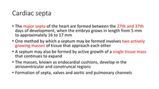 Cardiovascular System.pptx