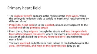 Cardiovascular System.pptx