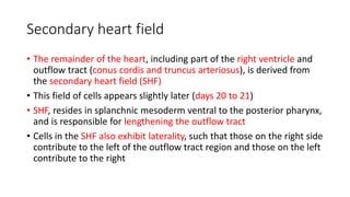Cardiovascular System.pptx
