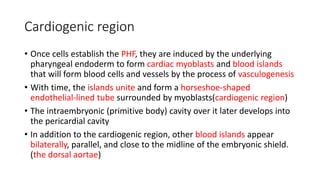 Cardiovascular System.pptx