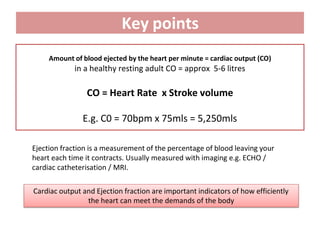 cardiovascular system.pdf