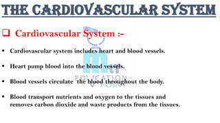 Cardiovascular System.pdf