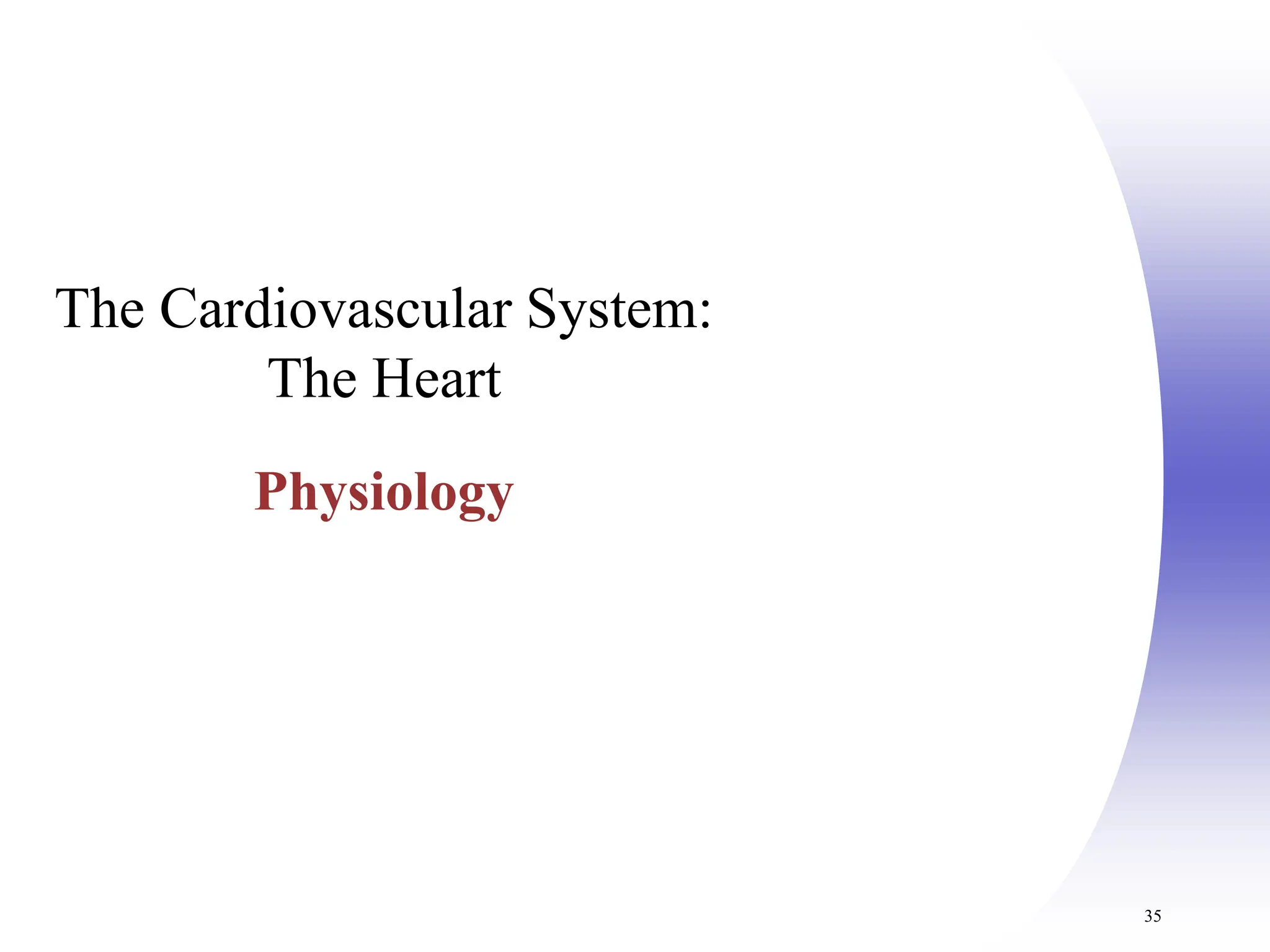 CARDIOVASCULAR SYSTEM.ppt