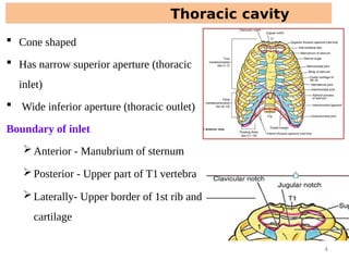Cardiovascular system.pdf