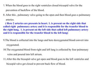 CARDIOVASCULAR SYSTEM- human anatomy and physiology.pptx