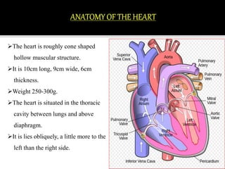 CARDIOVASCULAR SYSTEM- human anatomy and physiology.pptx