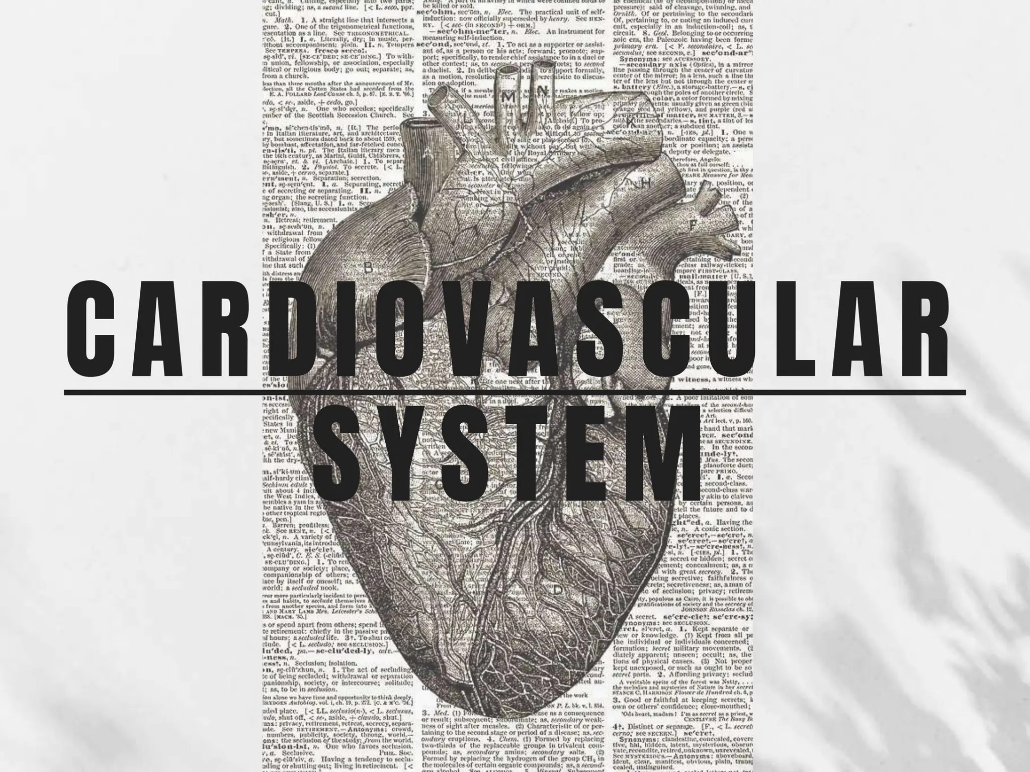 PowerPoint presentation on cardio-vascular system | PPTX
