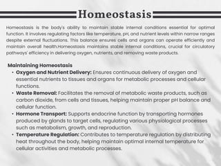 PowerPoint presentation on cardio-vascular system | PPTX