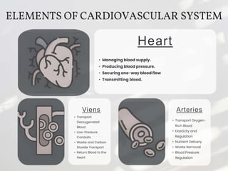 PowerPoint presentation on cardio-vascular system | PPTX