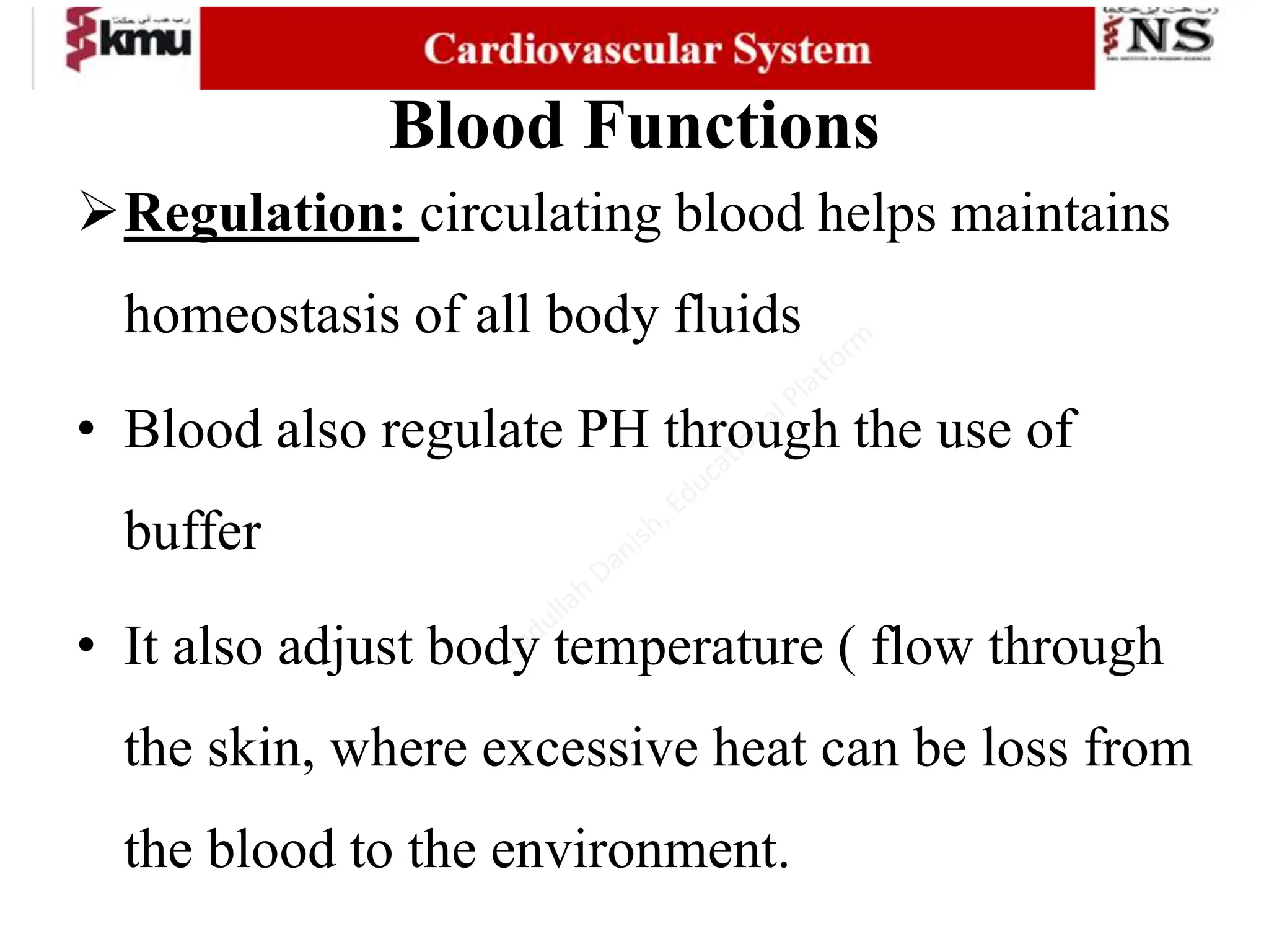 Cardiovascular system for nursing 1.pptx
