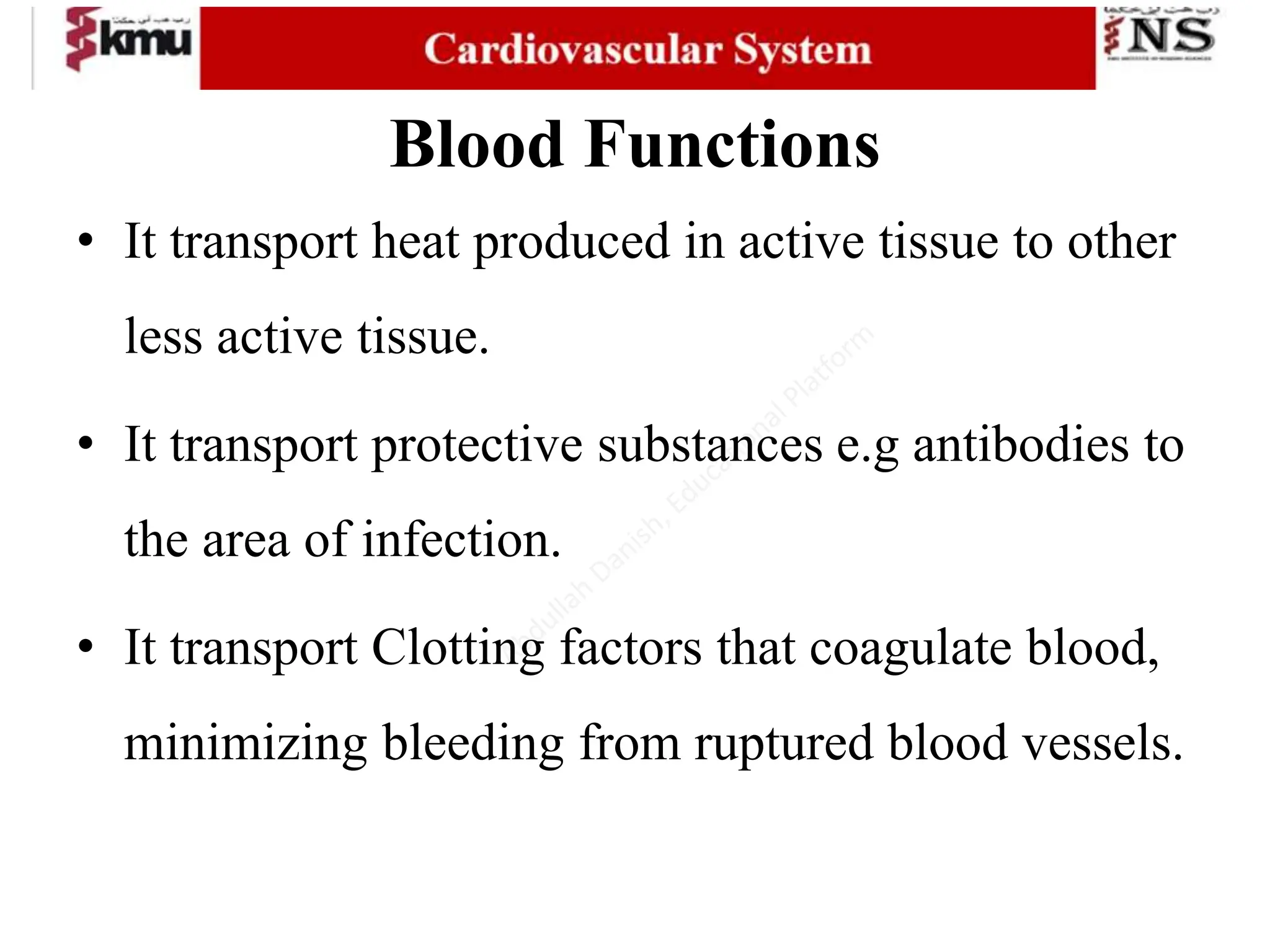 Cardiovascular system for nursing 1.pptx