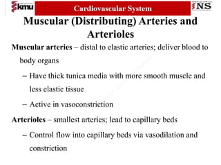 Cardiovascular system for nursing 1.pptx