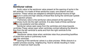 cardiovascualr system and heart of human .pptx