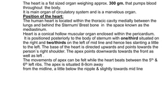 cardiovascualr system and heart of human .pptx