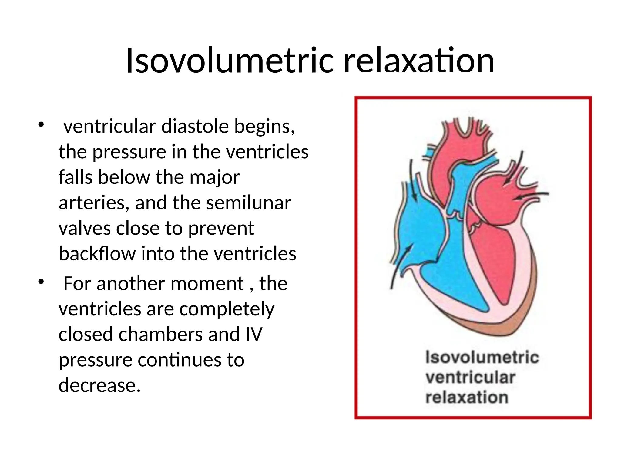 The Human Body's Cardiovascular System.ppt