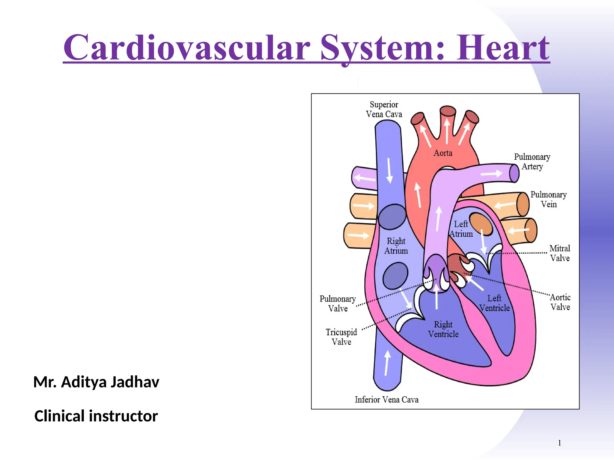 Cardio vascular system. For BSc nursing students | PPTX
