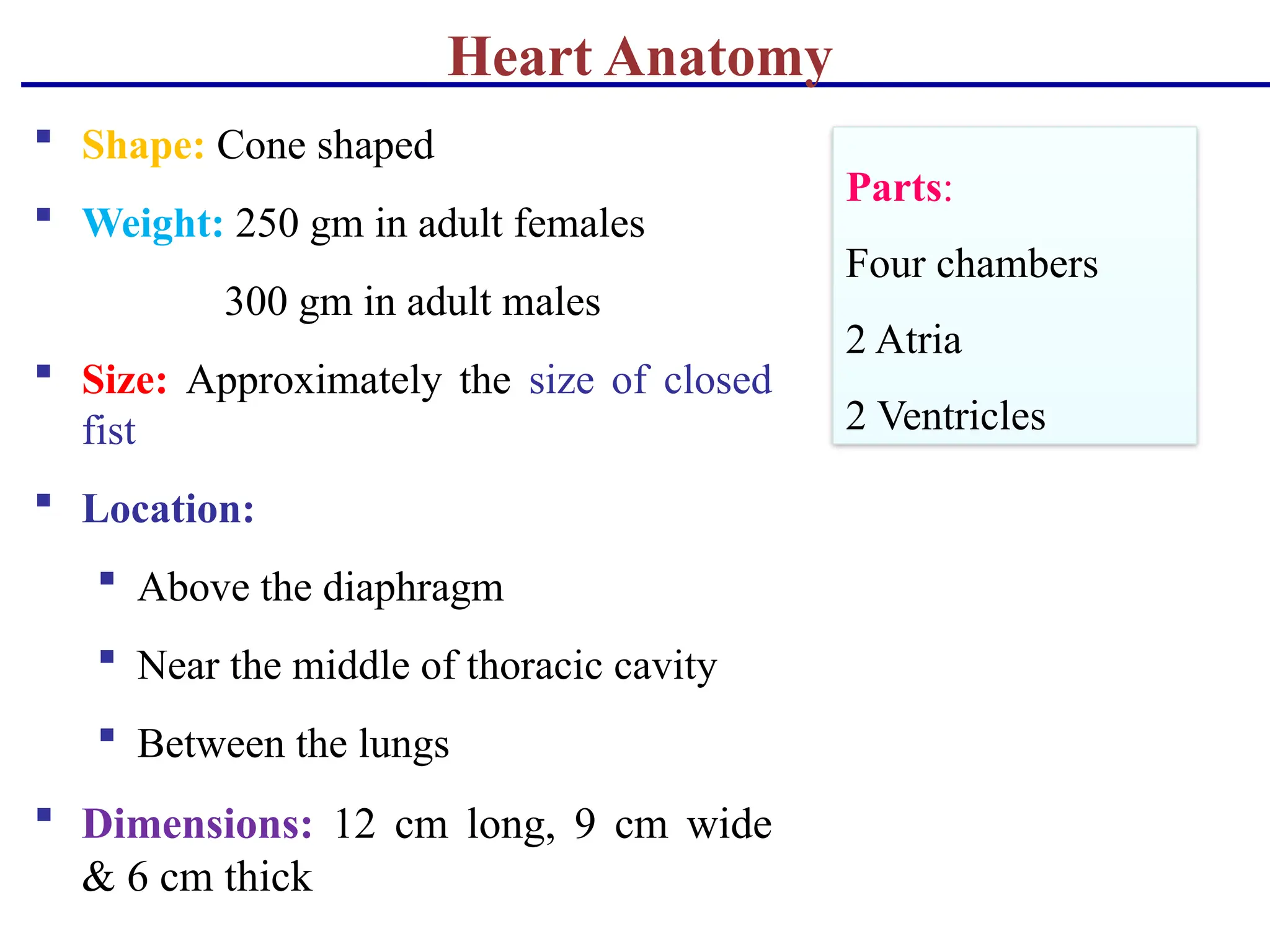 Cardio vascular system. For BSc nursing students | PPTX
