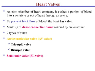 Cardio vascular system. For BSc nursing students | PPTX