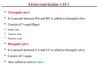 Cardio vascular system. For BSc nursing students | PPTX