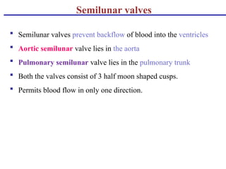 Cardio vascular system. For BSc nursing students | PPTX