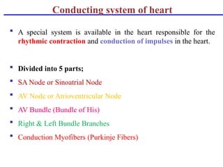 Cardio vascular system. For BSc nursing students | PPTX