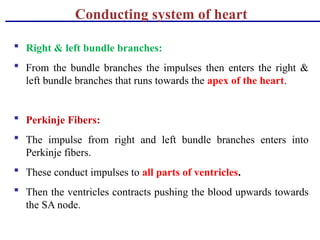 Cardio vascular system. For BSc nursing students | PPTX