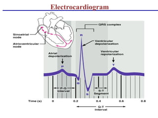 Cardio vascular system. For BSc nursing students | PPTX