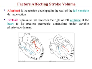 Cardio vascular system. For BSc nursing students | PPTX