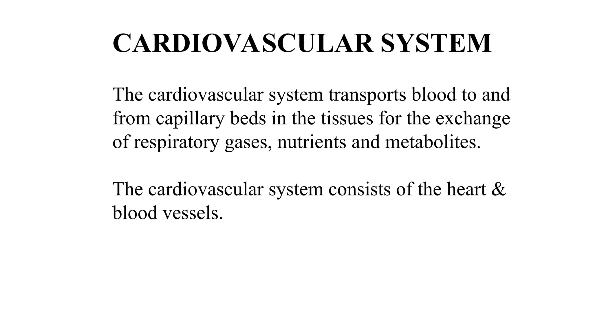 anatomy of CARDIOVASCULAR SYSTEM.ppt | Heart and Cardiovascular ...