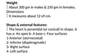 anatomy of CARDIOVASCULAR SYSTEM.ppt | Heart and Cardiovascular ...