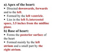 anatomy of CARDIOVASCULAR SYSTEM.ppt | Heart and Cardiovascular ...