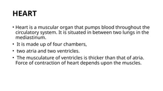cardiovascular system.right&left side of the hear. | PPTX