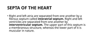 cardiovascular system.right&left side of the hear. | PPT