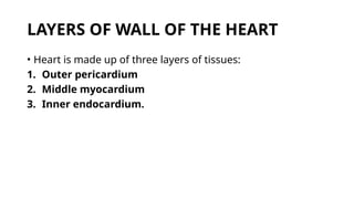 cardiovascular system.right&left side of the hear. | PPTX