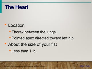 CARDIOVASCULAR SYSTEM power point slides | PPT