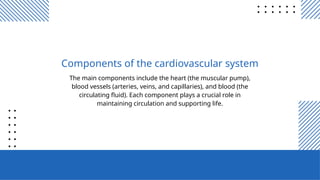 Cardiovascular System, its anatomy morphology and physiology | PPTX