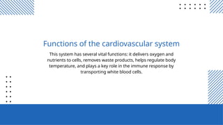Cardiovascular System, its anatomy morphology and physiology | PPTX