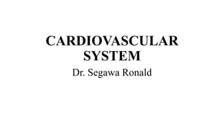 Cardiovascular System: Structure, Function, and Clinical Insights | PDF