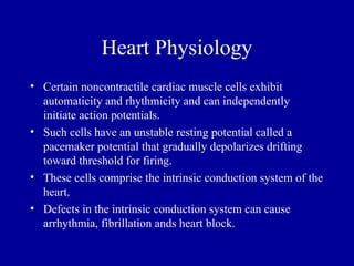 THE CARDIOVASCULAR SYSTEM (heart anatomy) | PPT