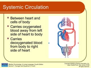 Cardiovascular system medical terminology | PPT