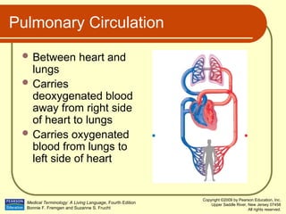 Cardiovascular system medical terminology | PPT