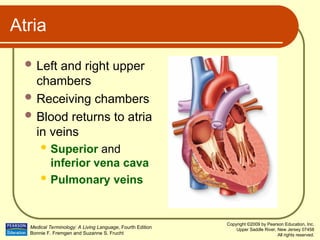 Cardiovascular system medical terminology | PPT