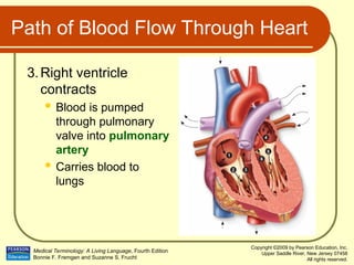 Cardiovascular system medical terminology | PPT
