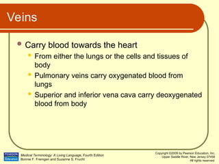 Cardiovascular system medical terminology | PPT