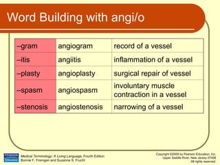Cardiovascular system medical terminology | PPT