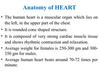 Cardiovascular system- Human Anatomy and Physiology | PPTX