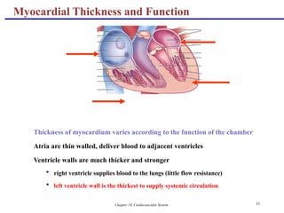 Cardiovascular system system anatomy.ppt