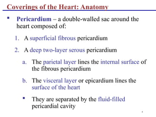 Cardiovascular system system anatomy.ppt